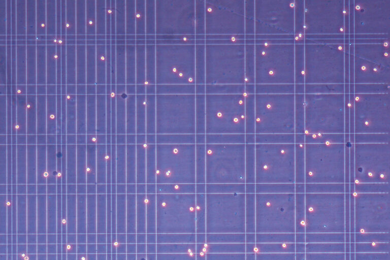 Disposable Cell Counting Plates (Hemocytometers) - WATSON