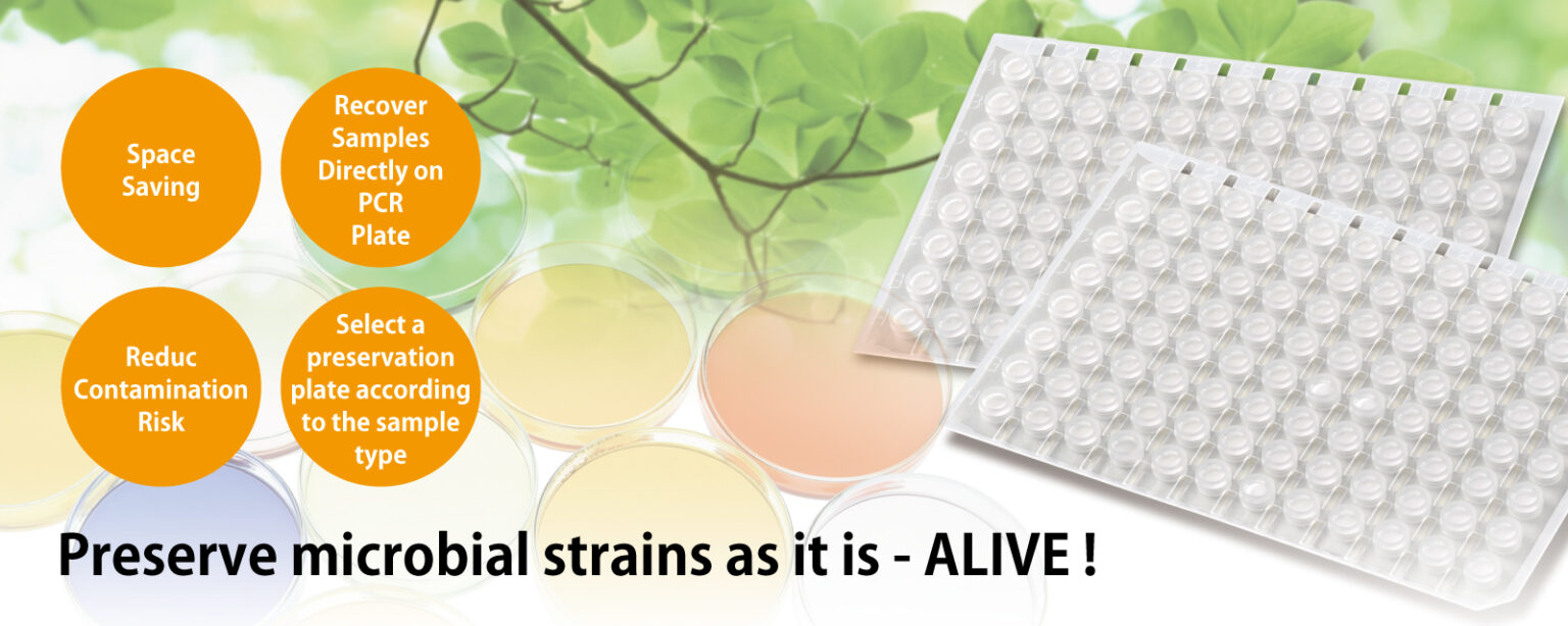 Microbial Preservation Plates - WATSON